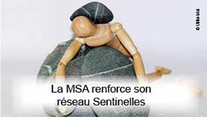 MSA - Mon espace privé - MSA Armorique